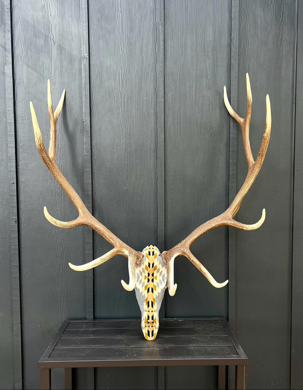 Upholstered Replica Elk Skull Euro Mount Rancho Arroyo – Jackson Hole ...
