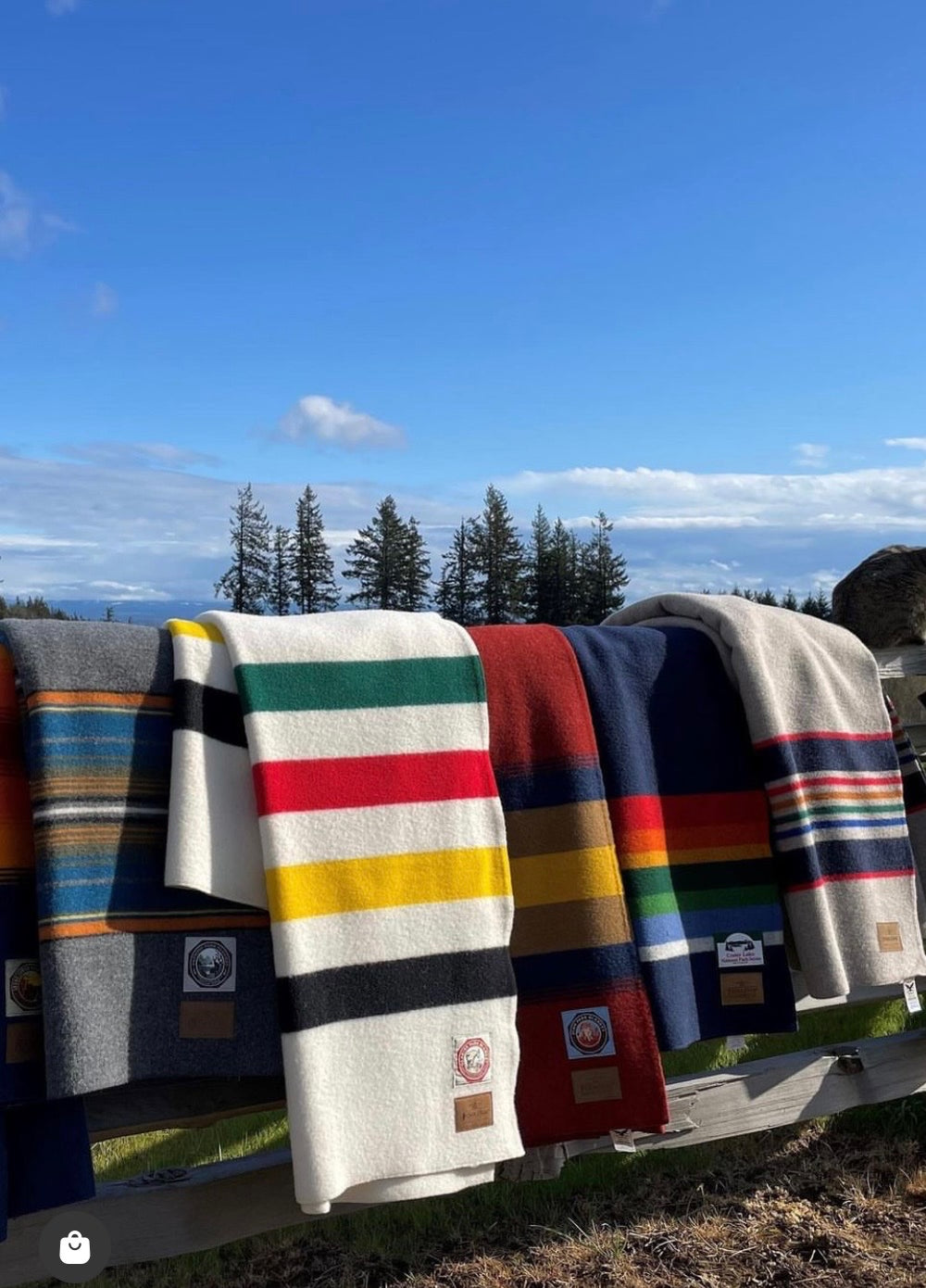 Jackson Hole Pendleton | Premium Pendleton Apparel and Home Goods